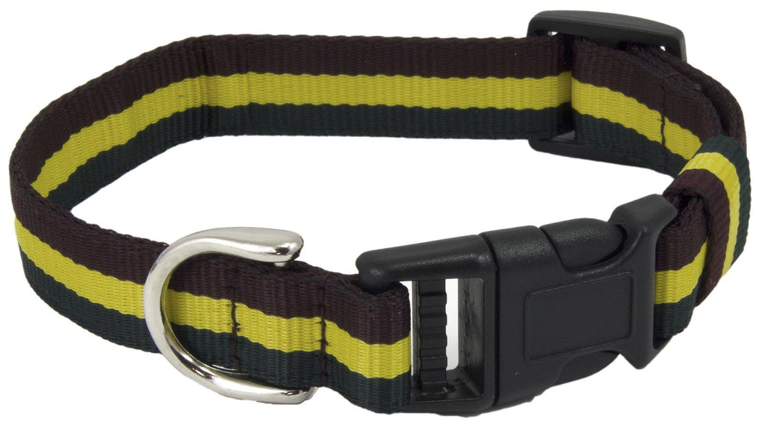 Royal Dragoon Guards Dog Collar – The Regimental Shop