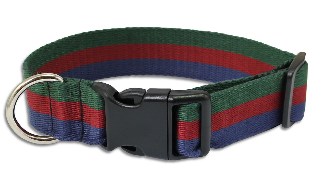 Premium Wide Webbing Dog Collars – The Regimental Shop